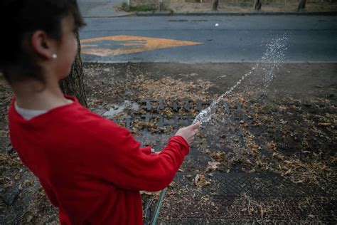 Fundación Greenpeace Argentina 5 ideas originales para ahorrar agua