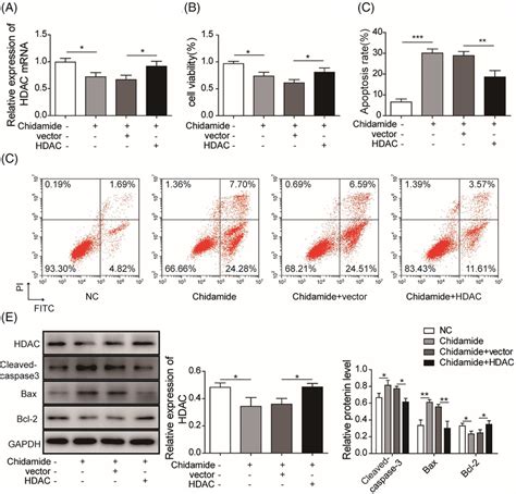 Chidamide Inhibits Proliferation And Promotes Apoptosis By Inhibiting