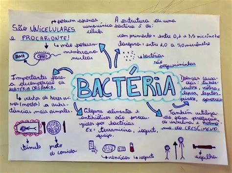 Mapa Mental De Bacterias