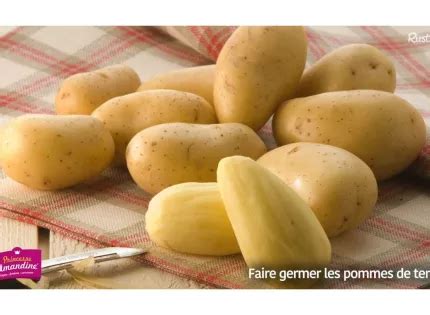 Recette salade de pommes de terre Princesse Amandine et poissons fumé