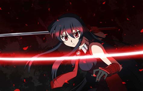 Akame Ga Kill Night Raid Wallpaper Hd