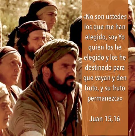 Juan 15 16 Soy Yo quien los he elegido Juan 15 16 Biblia católica