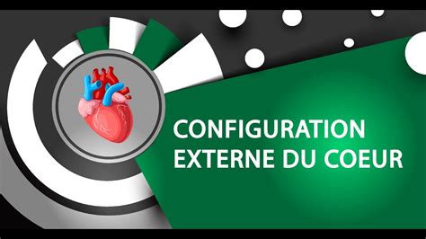 Anatomie Configuration Externe Du C Ur Youtube