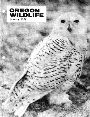 Fillable Online Ir Library Oregonstate R 416 Fax Email Print PdfFiller