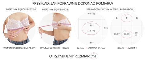 Tabela Rozmiarów Biustonoszy Rozmiary Majtek i Koszulek