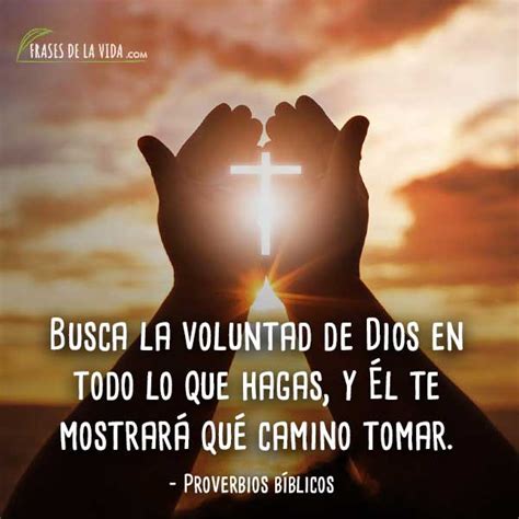 Proverbios Biblicos De Sabiduria
