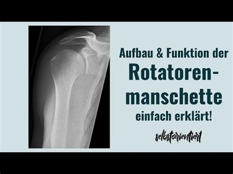 Aufbau Funktion der Rotatorenmanschette einfach erklärt