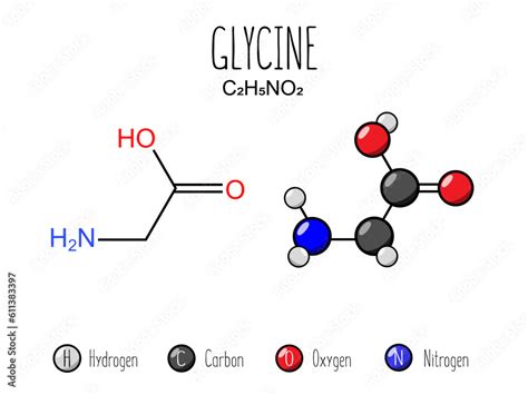 Glycine Amino Acid Representation Skeletal Formula And 2d Structure