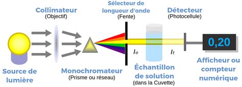 Les composants d un spectrophotomètre Labster