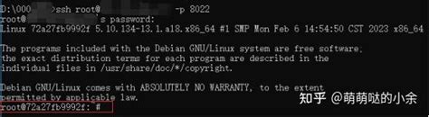 在vscode中添加linux中的docker容器中的python解释器 知乎