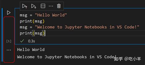 vs code 中 jupyter notebook 使用方法 知乎