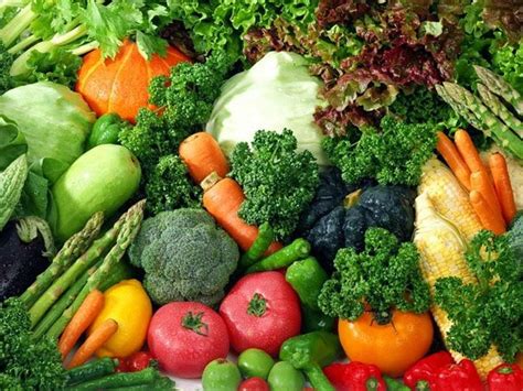 TU SALUD El Reino Vegetal