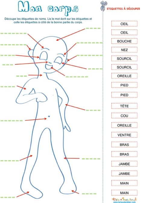 Mon corps activité avec étiquettes de noms sur Tête à modeler