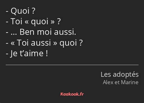 Citation Quoi Toi Quoi Ben Moi Aussi Toi Aussi Kaakook