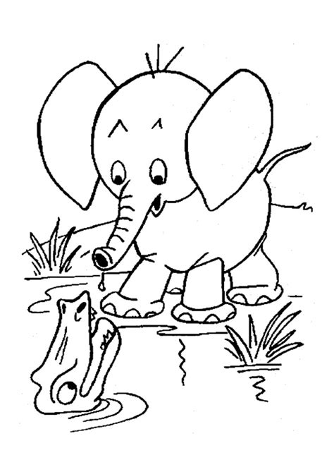 13 Incroyable Coloriage Animaux De La Savane Pics Idee De Coloriage