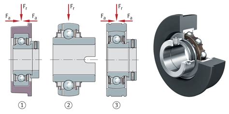 Radial Insert Ball Bearings Schaeffler Medias