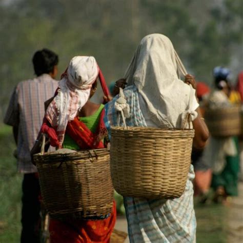 F Oil Palm Launches Oil Palm Plantation In Assam Agro Spectrum India