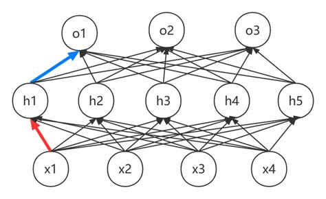 一起来学pytorch——torch nn感知机神经网络 知乎