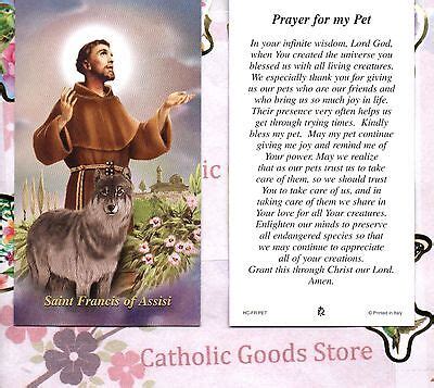 Saint St Francis Of Assisi Prayer For My Pet Paperstock Holy Card