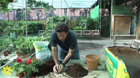Preparacion De Sustrato Para Maceta YouTube