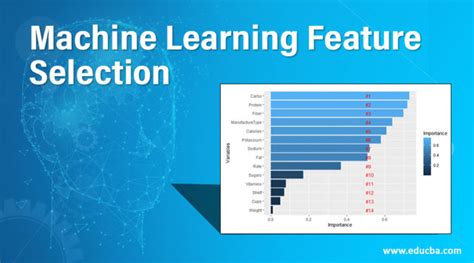 machine learning feature selection steps to select select data point