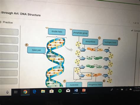 Can You Correctly Label Various Parts Of A Dna Molecule