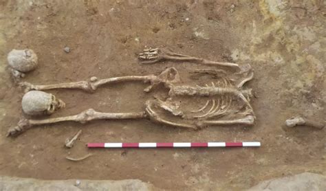 Reino Unido Hallan Esqueletos Romanos Decapitados Con Los Cr Neos