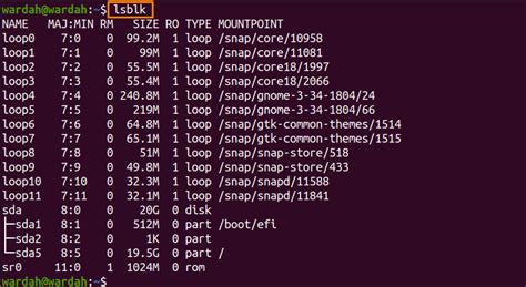 How Do I Show Unmounted Drives In Linux