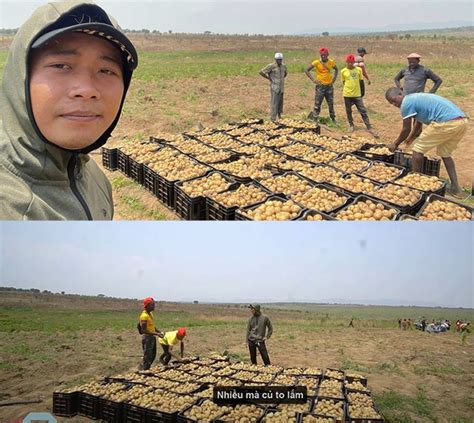 Đầu tư 4 tỷ trang trại ngày càng bội thu Quang Linh Vlogs bất ngờ gặp