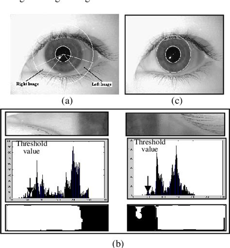 figure 2 from iris recognition using wavelet semantic scholar
