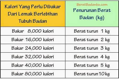 AINI Share Care Bagaimana Nak Kira Kalori Dalam Makanan Seharian Kita