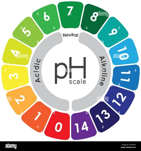 Diagramm der pH Wert Skala für saure und alkalische Lösung Infografik