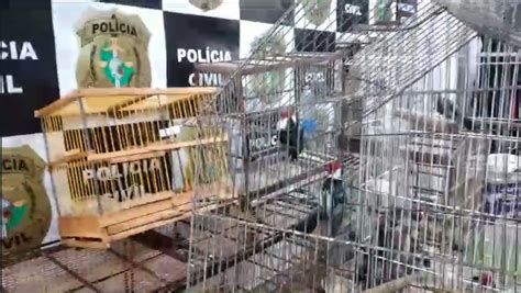 PCCE deflagra 8º fase da Operação Fauna Livre e prende dois suspeitos