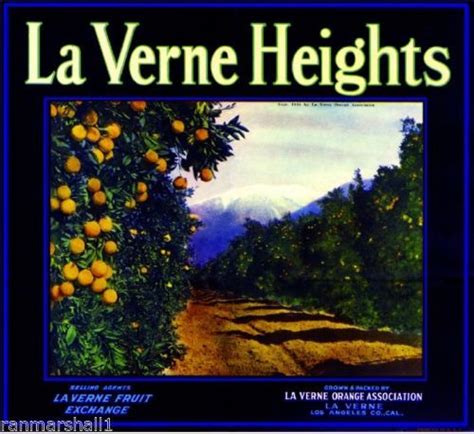 La Verne CA La Verne Heights Brand Fruit Crate Label Fruit Crate