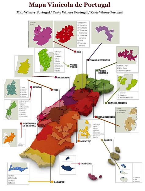 5 REGIONES PRINCIPALES VINÍCOLAS DE PORTUGAL Entrelíasyduelas
