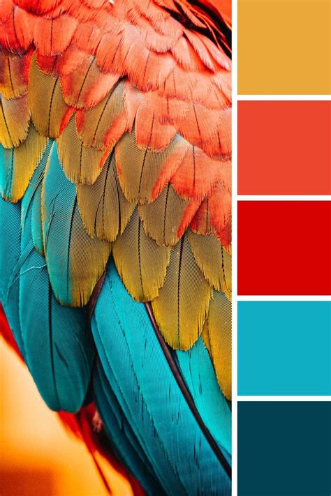 Orange Color Palettes Color Schemes Colour Palettes Color Palette