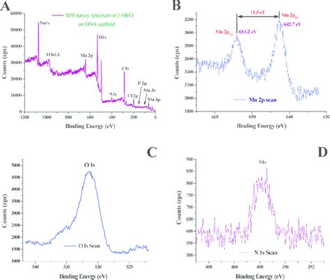 X Ray Photoelectron Spectroscopy XPS Analysis Of The Synthesized