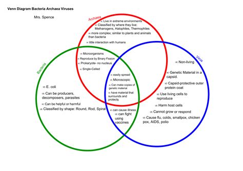 Bacteria And Virus Venn Diagram Exatin Info