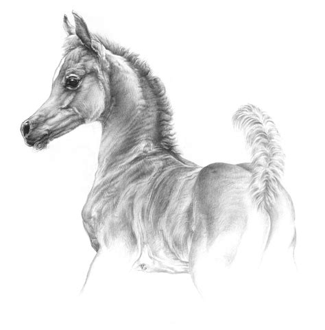 Poulain Dessin Logo HD