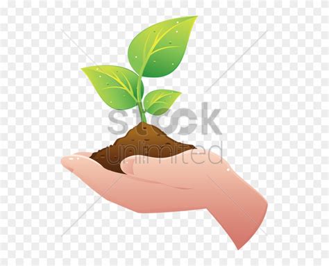 Hand Holding Plant Clipart