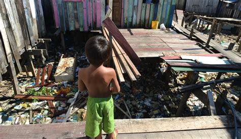 Extrema Pobreza No Brasil Cai Pela Metade Em Dois Anos Diz Estudo