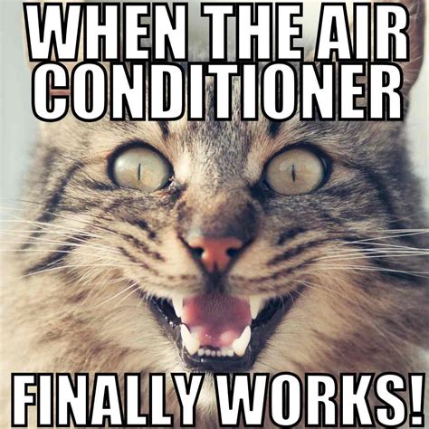 35 Sizzling Hot Weather Memes For Beating The Summer Heat