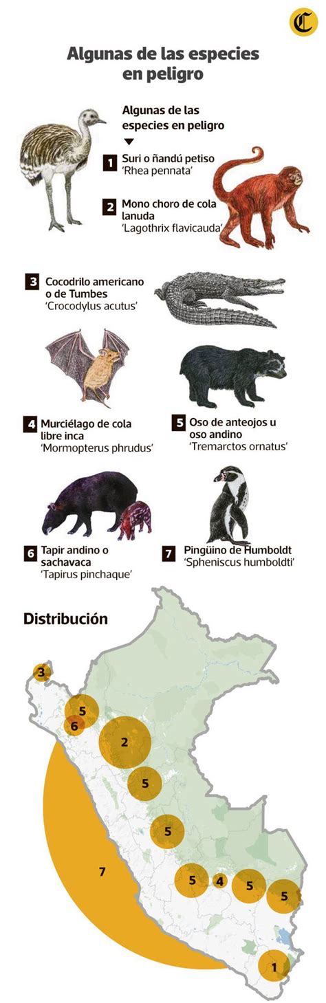 Cuántas especies están en peligro de extinción en el Perú INFOGRAFÍA