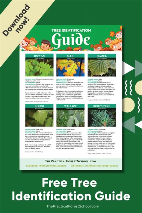 Tree Identification Guide Pdf At Linda Kraft Blog