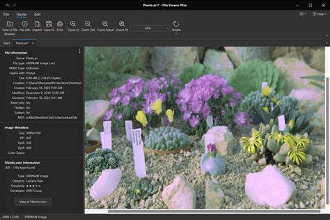 Open ARI Files With File Viewer Plus