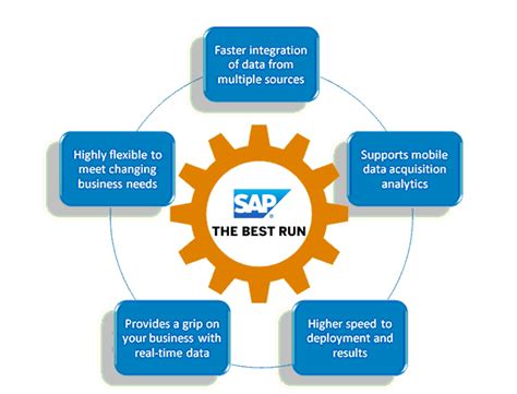 Benefits Of Sap