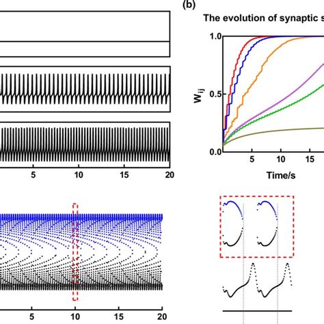 synaptic dynamics in two coupled neuronal populations a postsynaptic download scientific