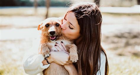 Cómo adoptar un perro o gato en Bogotá Te enseñamos a hacerlo