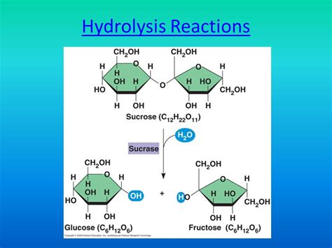 3 2 Carbohydrates Lipids And Proteins Organic Vs Inorganic