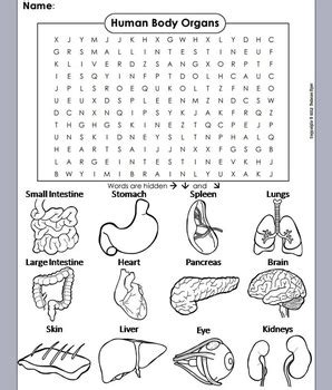 Human Body Systems Activity Organs Word Search Coloring Sheet By